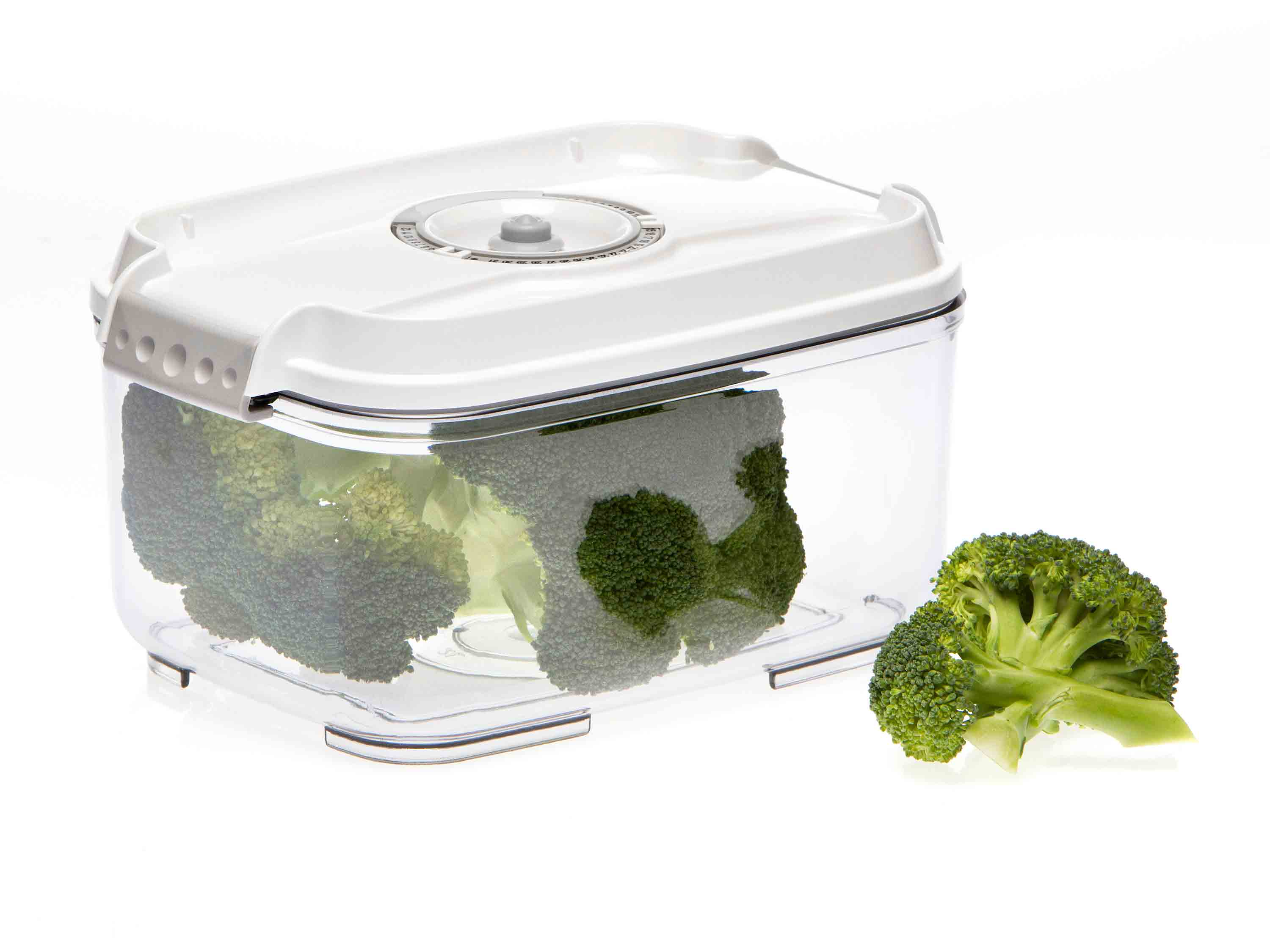 freshBOX 2,0 L | freshBOXen einzeln | freshBOX | fg.meisterbote.de